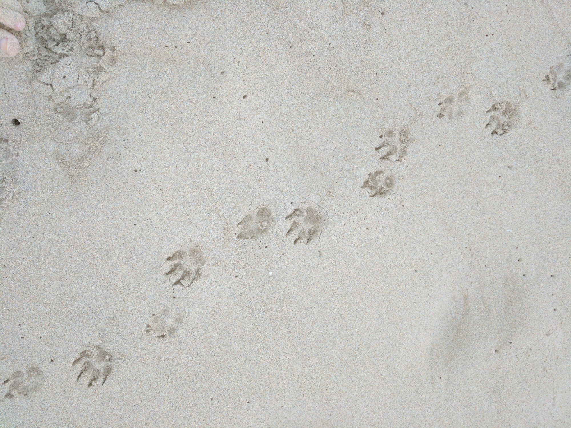 2017 The quality of sand & What is good in life – Opinion Odyssey